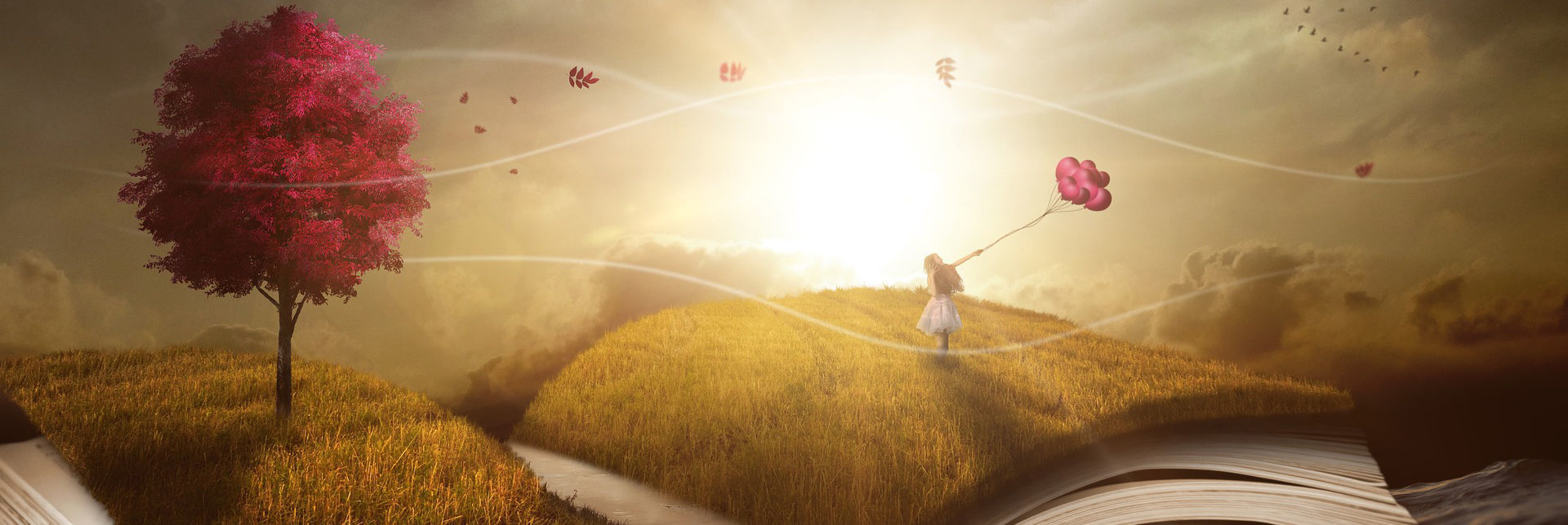 BookTube - Atelier Canopé 70